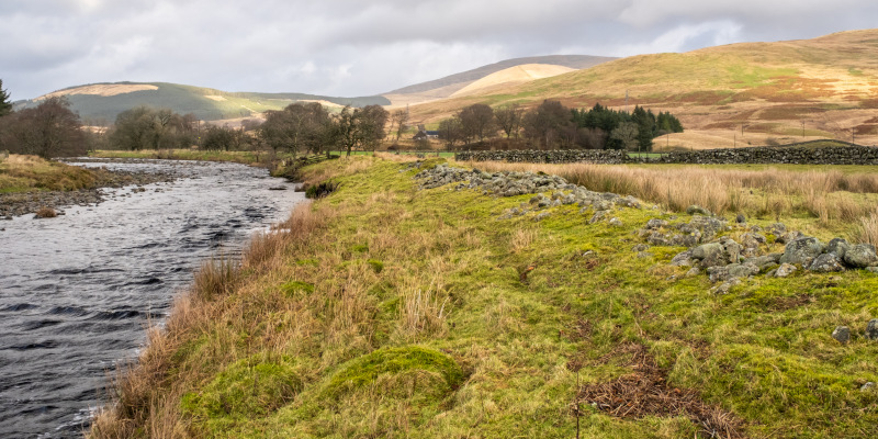 What You Need to Know About Erosion Control | Snead's Outdoor Services