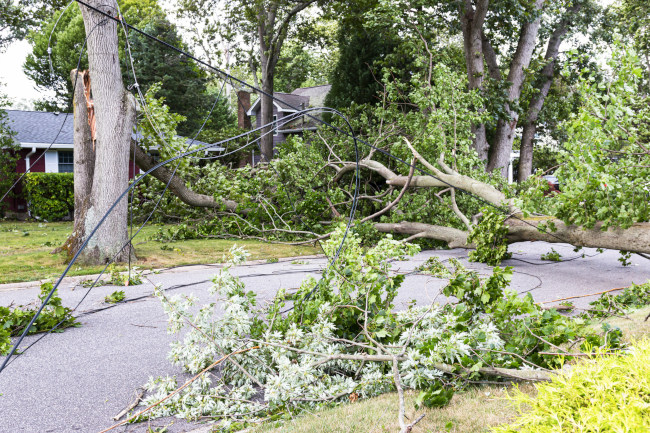 Four Tips to Make Storm Cleanup Easier | Snead's Outdoor Services