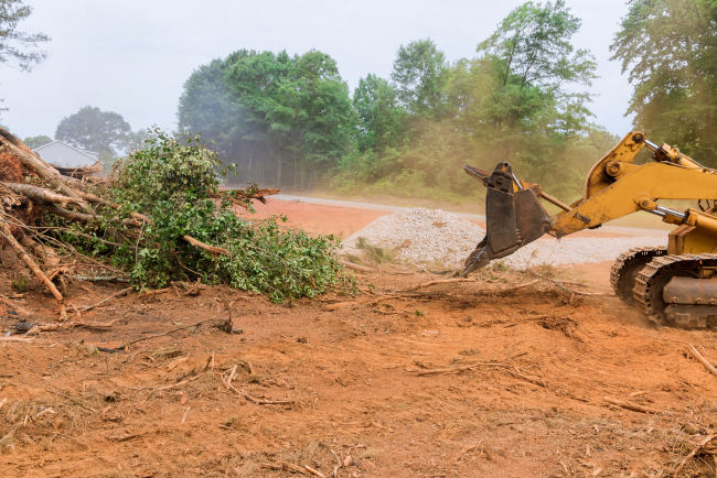 The Top Three Ways Land Clearing Can Benefit Your Property | Snead's ...