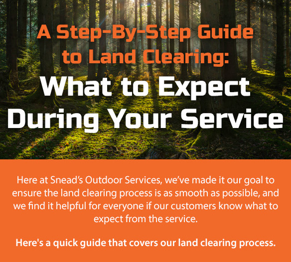 A Step-By-Step Guide to Land Clearing: What to Expect During Your ...
